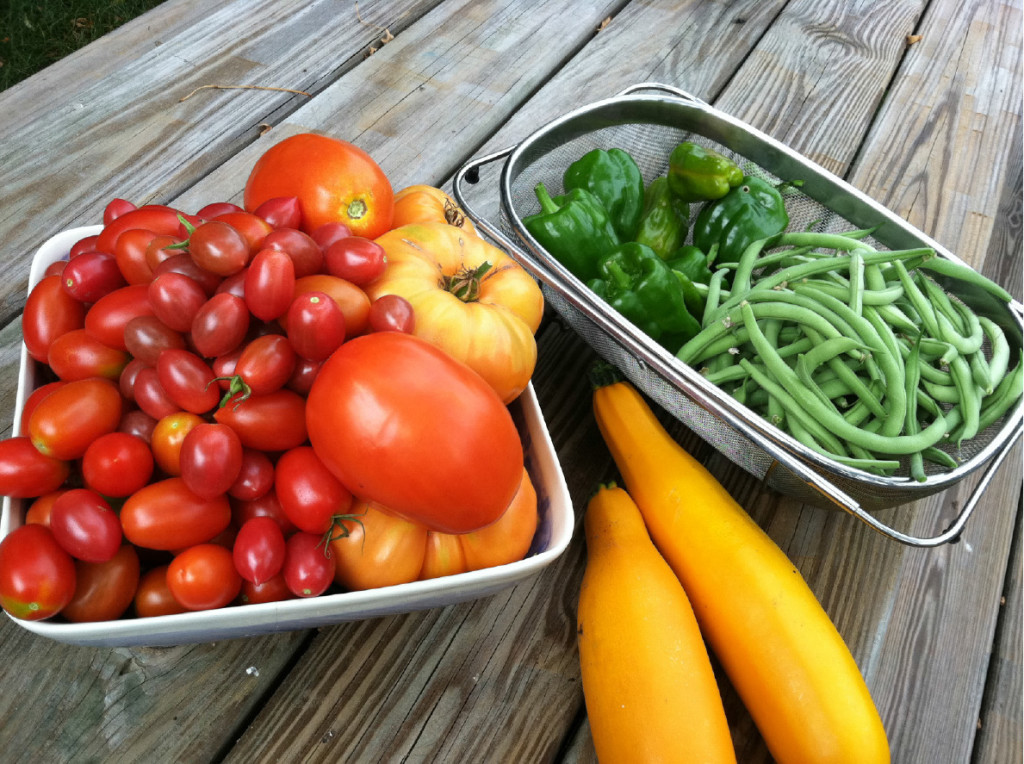 Food for Life™ – thesoulfulceo.com